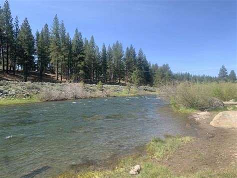 Discover How Water Temperatures Affect Trout Behavior Jay Clark Fly