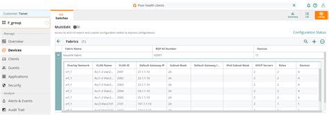 Viewing The Overlay Fabric