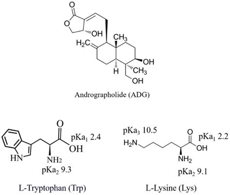 Co Amorphous Andrographolidelysine With Unexpectedly Enhanced Solubility
