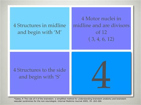 Brainstem Lesions Pdf