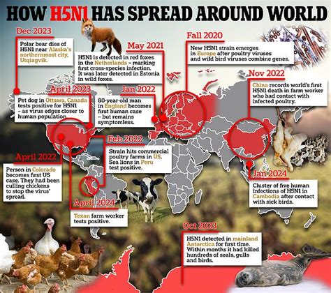 Farmer In Colorado Catches H5n1 Bird Flu Becoming Fourth Person To Be