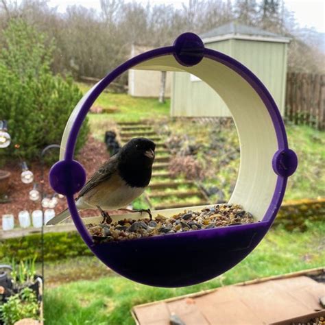 Window Bird Feeder House The Original 3d Printed Bird Portal Feeder