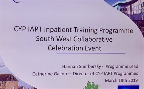 Cyp Iapt Debbie Frances Blog