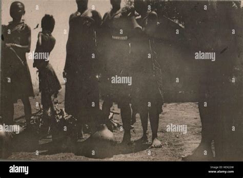 This Title Refers To A Catalog Number Or Archival Reference Possibly Identifying A Specific