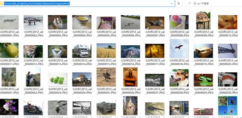 Validate Dataset Issue In Classify · Issue 10035 · Ultralyticsyolov5 · Github