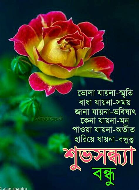 Pin By Pradip Vhattchairjee On Good Evening Good Afternoon Quotes