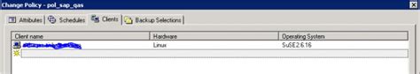 Netbackup For Sap Backup Using Rman Vox
