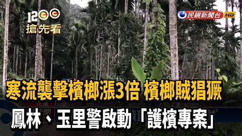 寒流襲擊檳榔漲3倍 鳳林、玉里警啟動「護檳專案」－民視新聞 Youtube