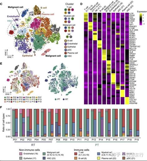 scRNA分析 单细胞文献Fig1中的分组umap图和细胞比例柱形图 知乎