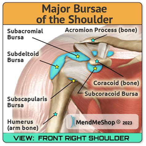 상완골 상방활주 증후군 humeral superior glide syndrome 네이버 블로그