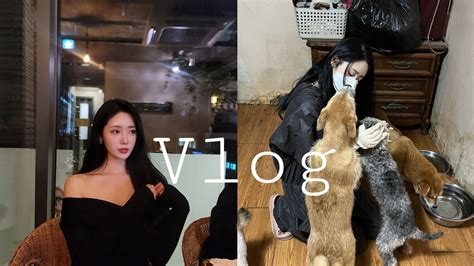 백수 Vlog 연말 선물 주고받기 유기견봉사 술먹고 하루필름은 필수코스 포차에서 과메기에 소주먹는 음주로그 일상