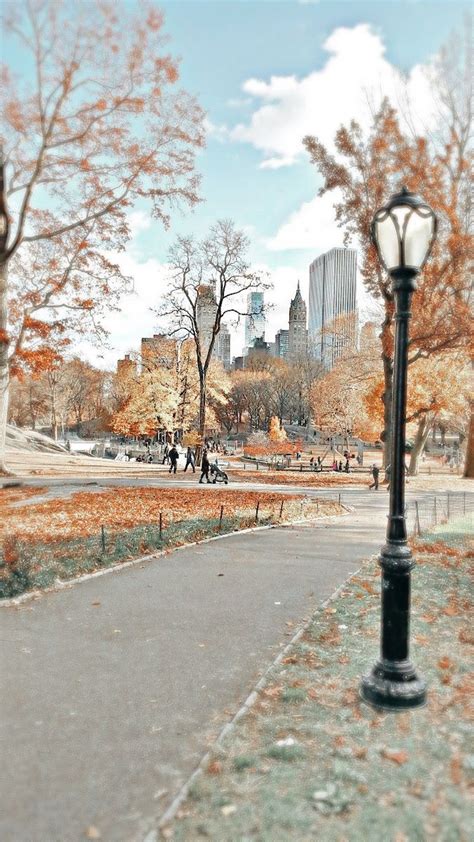 Aesthetic Park In 2022 Aesthetic Backgrounds Preppy Decor Summer