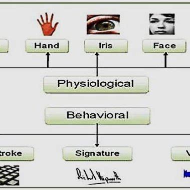 Flowchart Of Proposed ATM Download Scientific Diagram