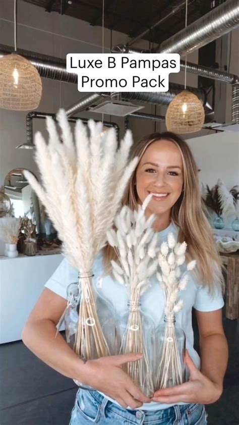 Luxe B Pampas Promo Pack Bunnytails Driedflowers Pampasgrass