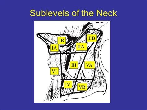 Surgical Management Of The Neck In Head And Neck Cancer Ppt Video