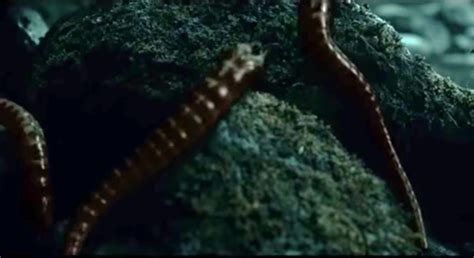 Lekgolo Halo Galaxy Wikia Fandom