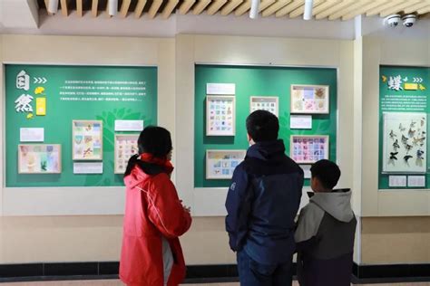 老校友组团回家为母校庆生华东师范大学附属天山学校迎来七十周岁生日