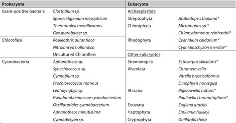 Evidence For Macroevolution Using A Microbial Phylogenetics Laboratory