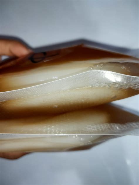 Starter Scooby Kombucha Diameter 15 Cm Lazada Indonesia