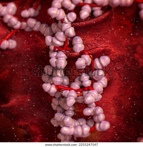 Medical Background Staphylococcus Aureus Type Spherical Stock