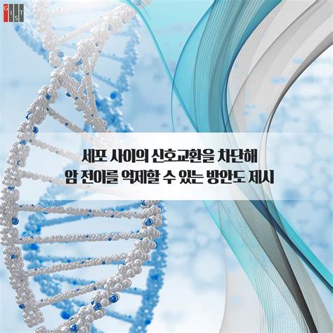 Gist 광주과학기술원 Gist 생명과학부 다런 윌리엄스 교수와 정다운 연구교수 연구팀이 암세포와 Facebook