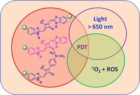 Synthesis And Characterization Of Near‐infrared Absorbing Water Soluble