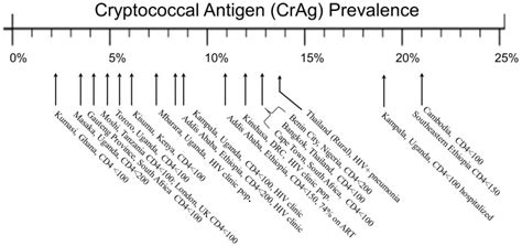 The Prevalence Of Cryptococcal Antigenemia Was 21 Among Those With Cd4