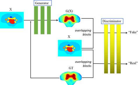 the overall framework and workflow of the generator and discriminator