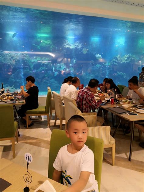 2024三亚亚龙湾迎宾馆海洋主题海蓝餐厅美食餐厅 海底海洋主题餐厅环境很好 去哪儿攻略