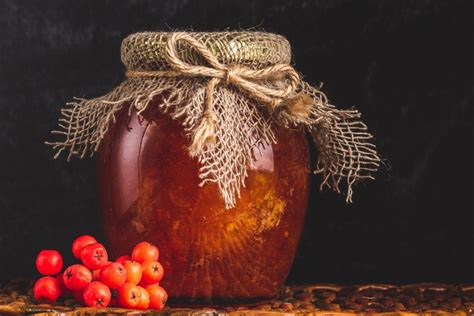 Заготовки из рябины на зиму – 19 вкусных рецептов с фото, простые ...