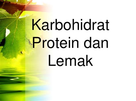 Karbohidrat Protein Dan Lemak Ppt PDFCOFFEE