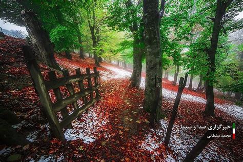 طبیعت مازندران در پاییز هزار رنگ تصاوير بزرگ بهار نیوز