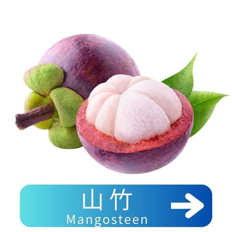 胜利苗圃 华人生活手册2023版