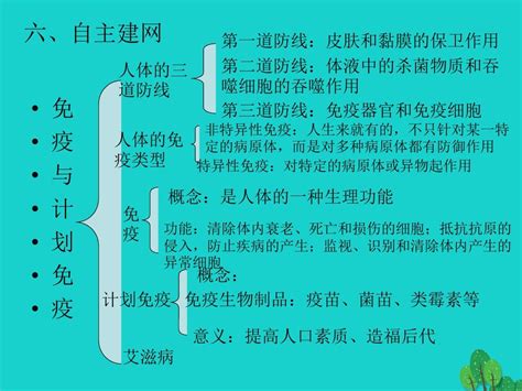八年级生物下册第八单元第二章用药和急救课件新版新人教版word文档免费下载亿佰文档网