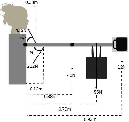 SOLVED First Calculate The Torque Created By Each Force Acting About The Shoulder Joint Vector