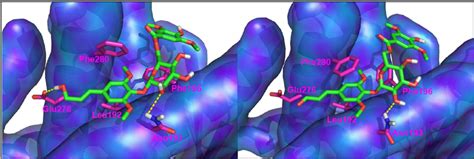 Predicted Binding Mode Of Compounds Iv Left And V Right Dotted Download Scientific