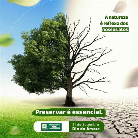 21 De Setembro Dia Da Árvore