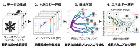 筑波大学｜university of tsukuba 【テクノロジー・材料】薄膜生成時の枝分かれ現象を、トポロジー・物理・aiの融合で解明