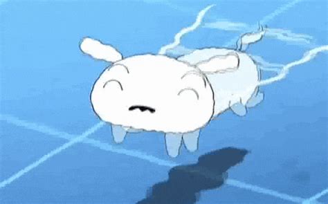 잡담 너네 짱구에 흰둥이 견종 뭐라고 생각함 인스티즈instiz 일상 카테고리