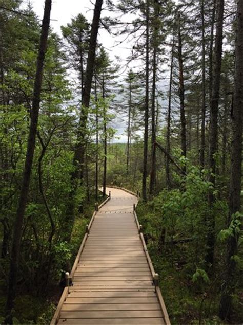 Bangor City Forest 2019 All You Need To Know Before You Go With