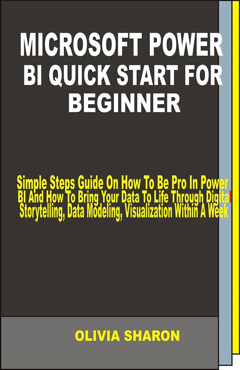 Microsoft Power Bi Quick Start For Beginner Simple Steps Guide On How To Be Pro In Power Bi And