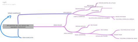 VENAS DEL MIEMBRO SUPERIOR Leydi UDocz