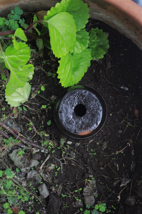 Chilko Autoregante Negro Nuketerra