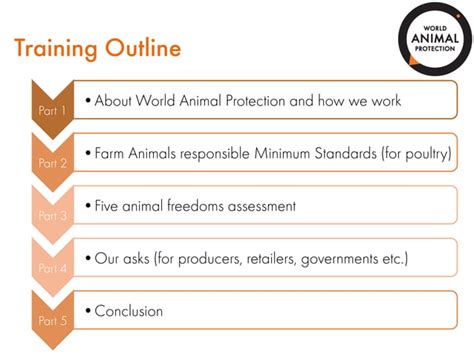 Humane And Sustainable Poultry Farming Ppt