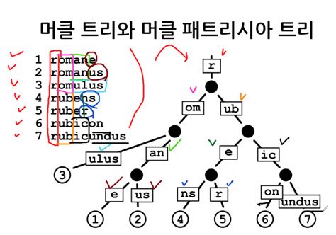 Til Part2 Day35 Solidity 및 블록체인 이론