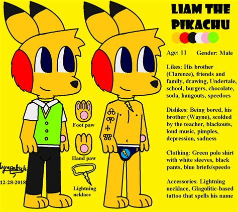 Liam Pikachu Reference Sheet For 2019 By Theblueriolu On Deviantart