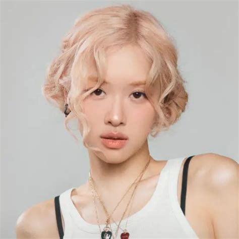 요즘 블랙핑크 로제 뉴욕에서는 트랜디하게 더로우가방 가격은 네이버 블로그