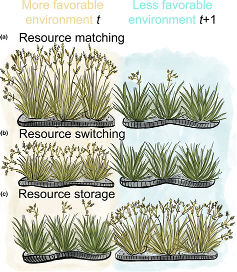 graphical representation of resource matching switching and storage
