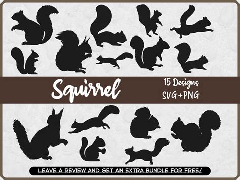 Squirrel Svg Bundle Svg Files For Cricut Squirrel Vector Squirrel