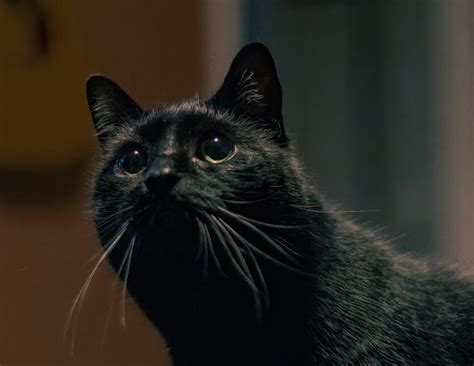 When You Look Into The Void It Also Looks Into You R Attackeyes